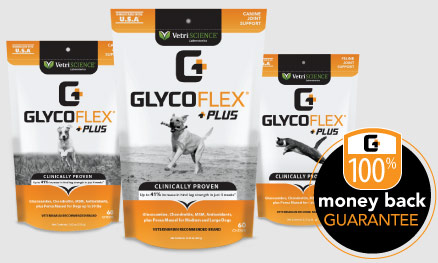 Glyco FLEX Joint Supplement by VetriSCIENCE Laboratories